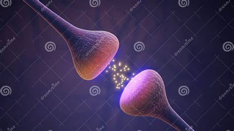 Synaptic Signals Driving Activity In Neural Pathways Stock Illustration Illustration Of