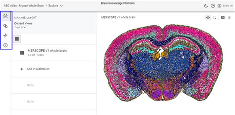 Update Notes December 12 2023 Allen Brain Cell Abc Atlas Allen Brain Map Community Forum