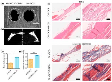 Applications Of Degradable Hydrogels In Novel Approaches To Disease Treatment And New Modes Of