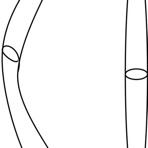 Simple Closed Curve γ On ∂m Download Scientific Diagram
