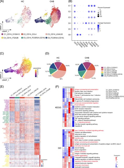 single cell profiling reveals monocyte heterogeneity and association