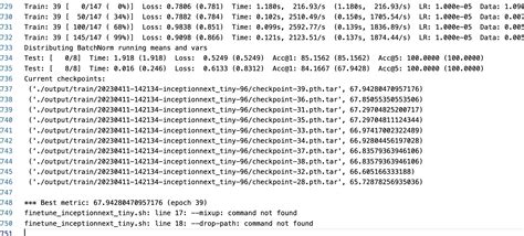Train My Own Datasets Acc Is Very Low Issue Sail Sg Inceptionnext Github