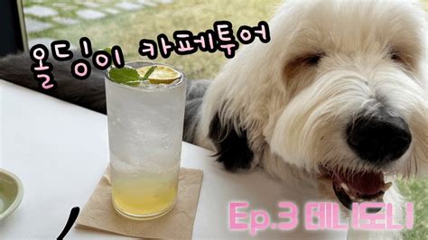 꽃향기만 남기고 갔단다 Youtube