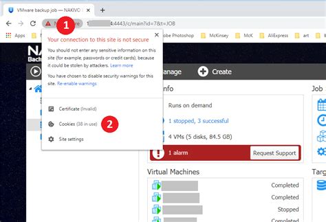 Cannot Access The Web UI