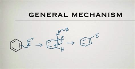 Eas Experiment Flashcards Quizlet