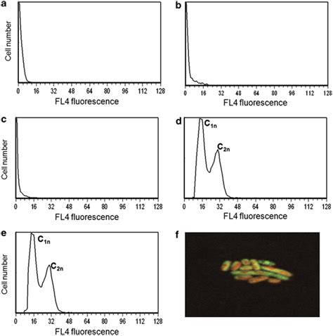 Effect Of Enzyme Digestion On The Dyecycle Ruby Dcr Staining Of Fixed