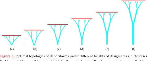 Figure 1 From Structural Topology Optimization Method For Morphogenesis Of Dendriforms