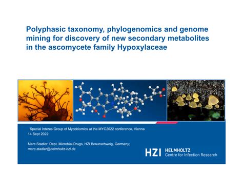 Pdf Polyphasic Taxonomy Phylogenomics And Genome Mining For Discovery Of New Secondary