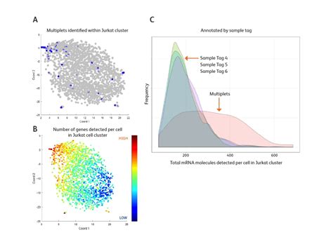Single Cell Multiplexing Kit
