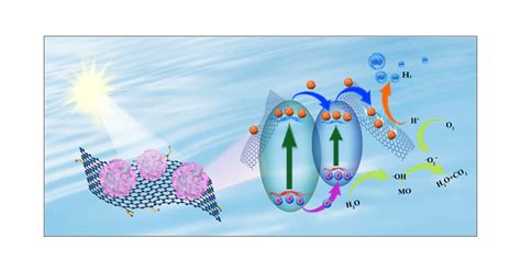 Efficient Doping Induced By Charge Transfer At The Hetero Interface To Enhance Photocatalytic