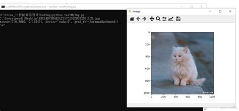 猫狗分类python 猫狗分类算法 mob6454cc6553fc的技术博客 51cto博客