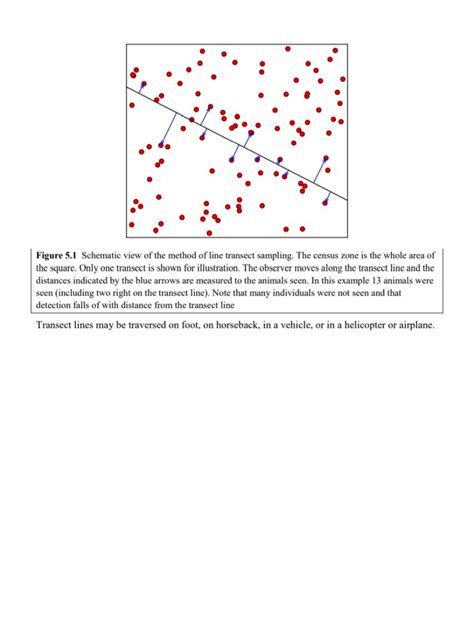 belt transect sampling