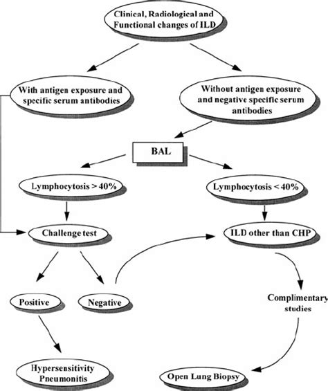 Diagnostic Algorithm For Subacutechronic Hypersensitivity Pneumonitis Diagnostic Algorithm For Subacutechronic Hypersensitivity Pneumonitis