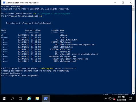 CentOS Stream 8 Elastic Stack 7 Install Winlogbeat Server World