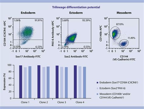 Stemmacs™ Ipsc Mrna Reprogramming Kit Human Miltenyi Biotec Canada