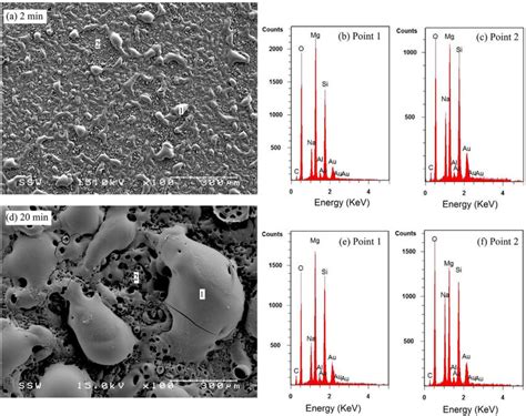 Sem Micrographs And Edx Spectra For Point Analyses Spectra Recorded On Download Scientific