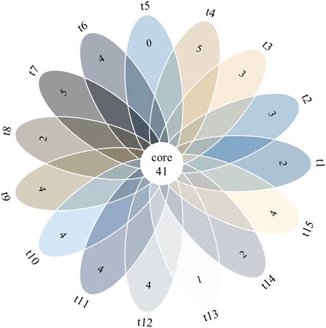 Matlab 情人节画个花瓣venn图？花瓣韦恩图 Csdn博客