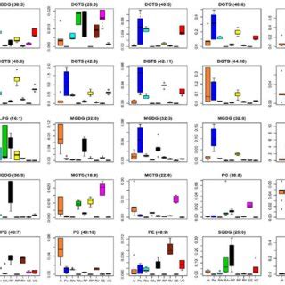 Hierarchical Clustering Heatmap Of Lipid Species Data Levels Of