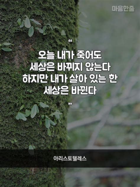 오늘 내가 죽어도 세상은 바뀌지 않는다 하지만 디지틀조선일보디조닷컴