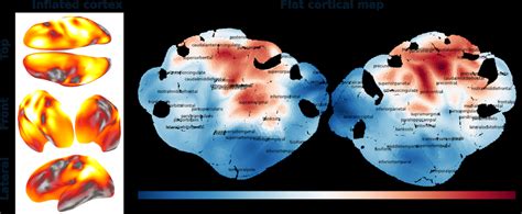 Example Of Source Reconstruction Using The 12 Month Template And