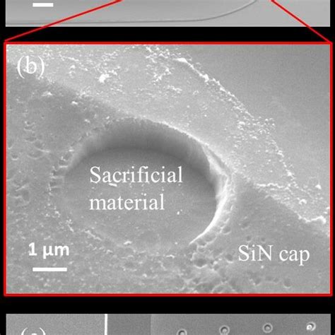 SEM images recorded during a FIB cut through the diameter of 2 µm a Download Scientific