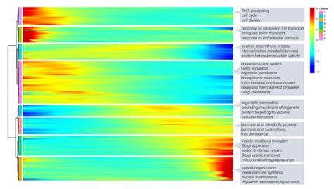 [已经分开] 单细胞 Rna 测序 科研服务 上海伯豪生物技术有限公司 服务科技创新，护航人类健康！