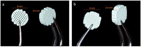 In Vitro Biological Properties Assessment Of 3d Printed Hydroxyapatitepolylactic Acid Scaffolds