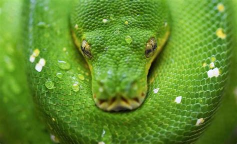 learn python with pj part 5 build a hashtag tracker with the twitter api