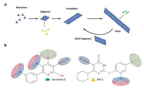 Small Molecules To Prevent The Neurodegeneration Caused By α Synuclein