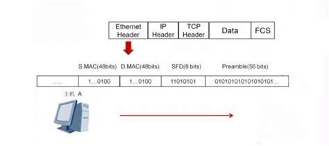 Intelligent Packet Forwarding Data Distribution Network Packet Brokers