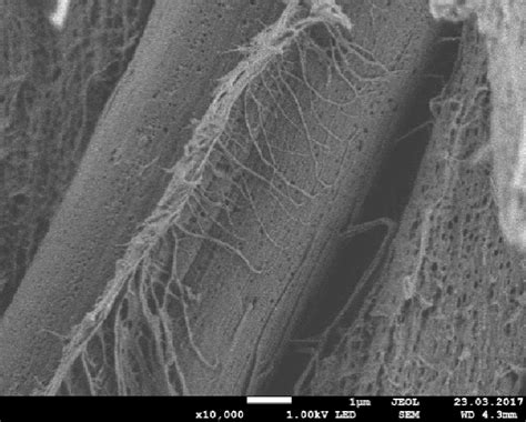 Interphase Boundaries Of Polymer Composite Materials Based On Download Scientific Diagram