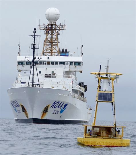 Can Seasonal Forecasts Of Ocean Conditions Aid Fishery Managers