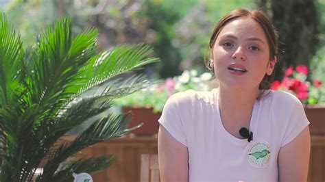 ციკასი საქართველოს ნერგები Youtube