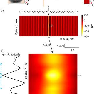 Properties Of The Ictal Spatiotemporal Spike Centered Average St SCA
