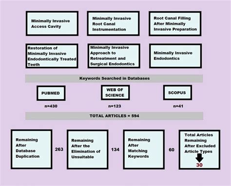 Database Research And Screening Flow Chart Download Scientific Diagram