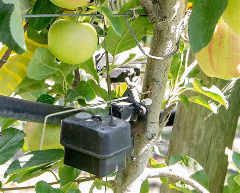 Translating Tree Talk Good Fruit Grower