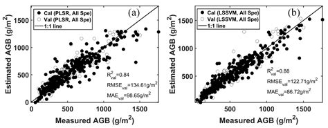Improved Estimation Of Winter Wheat Aboveground Biomass Using Multiscale Textures Extracted From