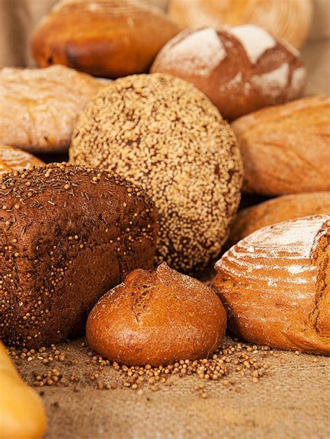 Whole Wheat Vs Multigrain Bread Find Out Which Is Healthier The Indian Express