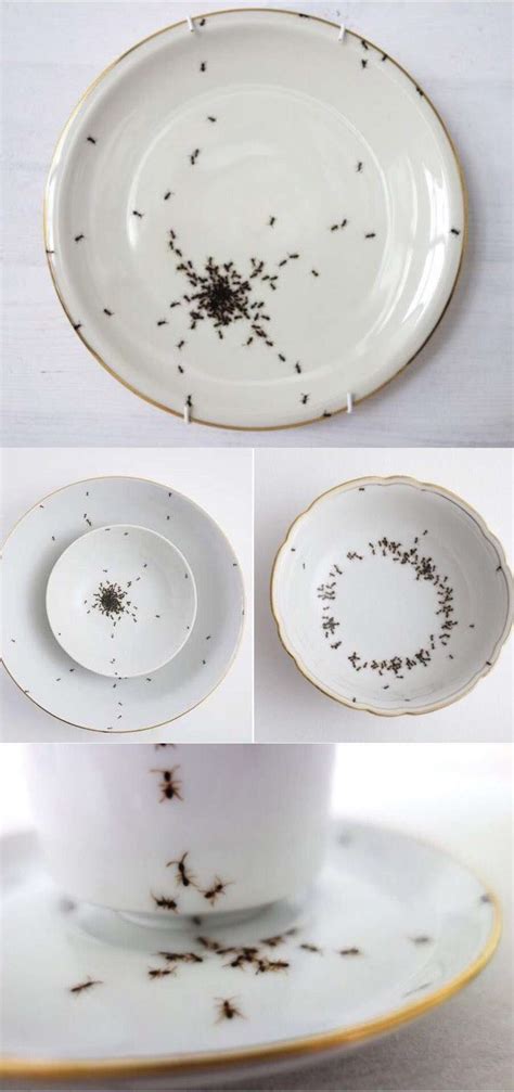 Broken Meme Kind Of Finding Dildo Substitutes In Our Gardens Since March 2009