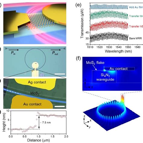 Qiao Zhang Northwestern Polytechnical University Xian Nwpu School Of Physical Science