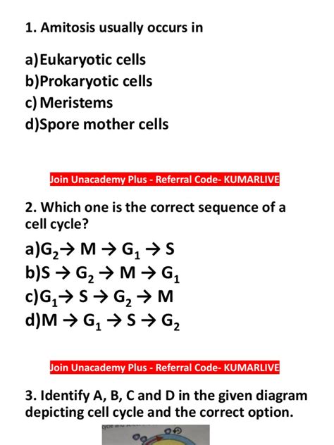 Cell Cycle Bb Pdf Meiosis Mitosis