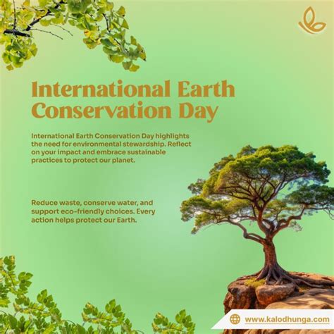 Kalodhunga Solution On Linkedin Environmentconservation Ecofriendly