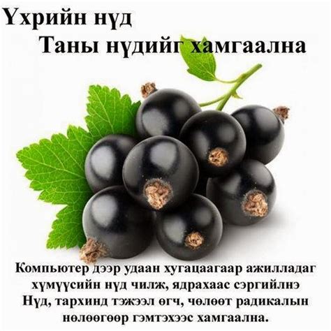 Агаруу Органик дэлгүүр Agaruumn Байгалийн зэрлэг жимсгэнэ Үхрийн