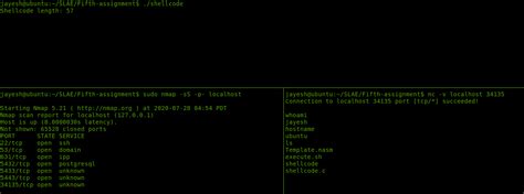 Analyzing Shellcode Reverse Engineering For Fun And Profit