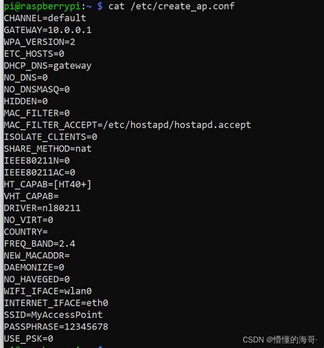 树莓派4b使用create ap做无线热点 ap 树莓派4b ubuntu创建wifi热点 csdn博客