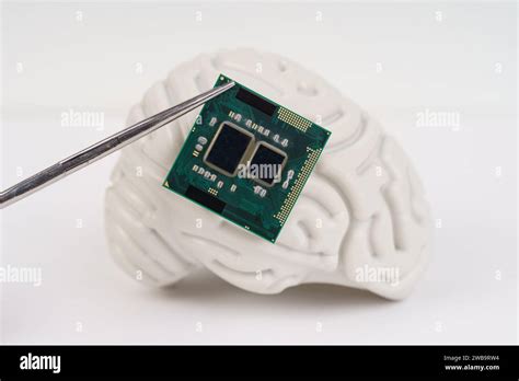 human brain and computer chip microprocessor in the head on a white