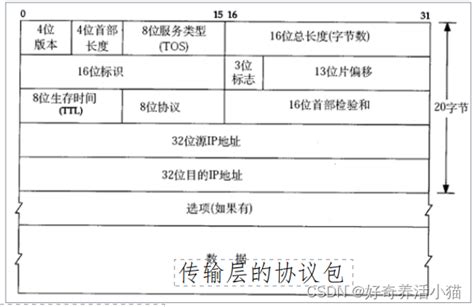 Linux高并发网络编程开发网络编程基础 Socket10网络开发两种设计模式网络模型分层以太网帧协议ipudptcp协议
