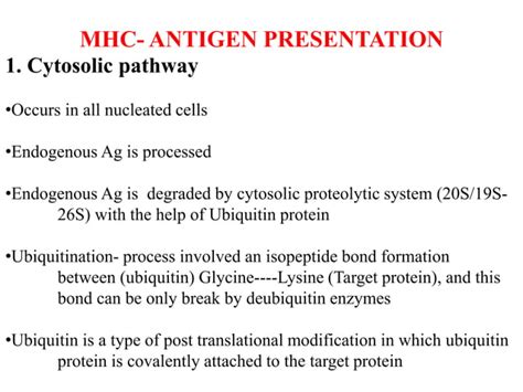 Mhc Structure And Function Pptx