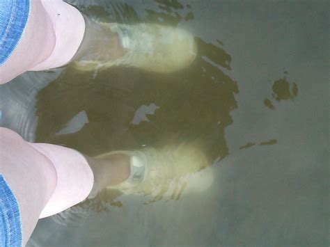 17 Best Images About Ways To Trash Shoessneakers And Have Fun Doing