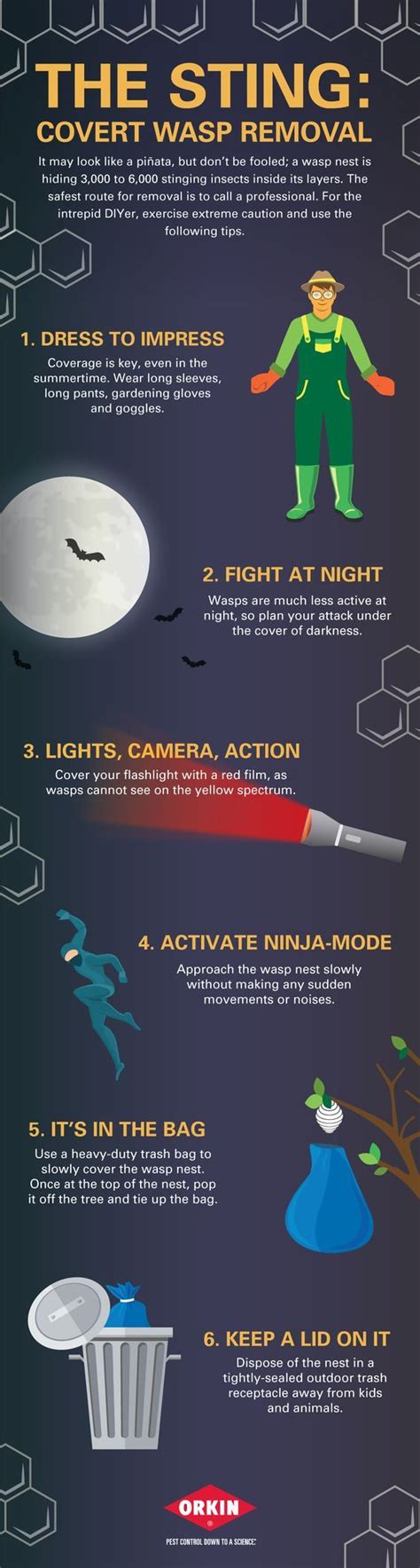 How To Remove A Wasp Nest From Your Yard If You Dare DIY Tips Wasp Nest Wasp